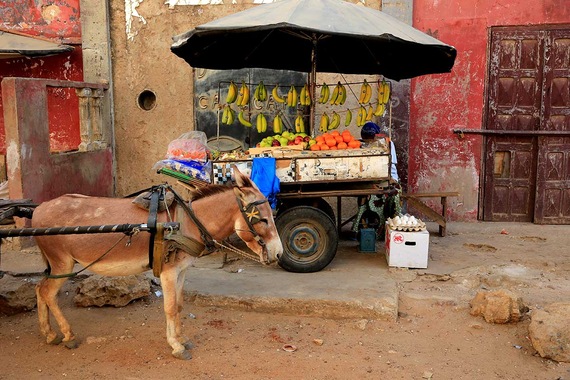 Voyage au Sénégal - Vacances au Sénégal avec TUI FRANCE
